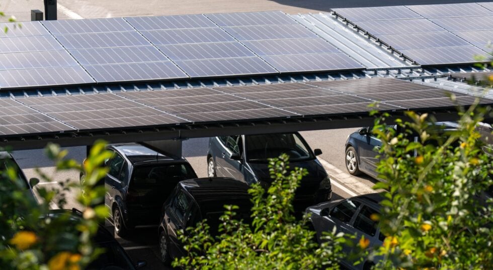 Products & Services - reev